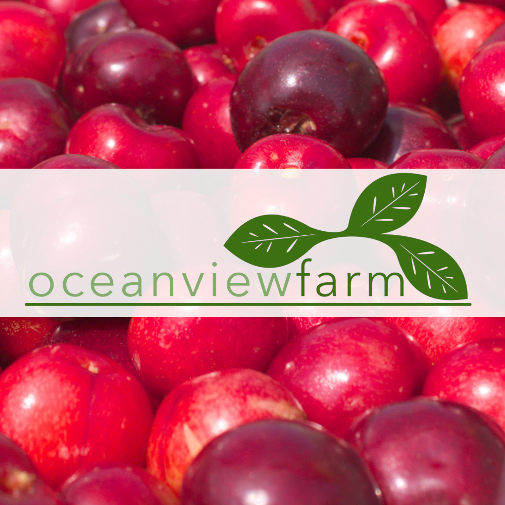 Home - Oceanview Farm NL